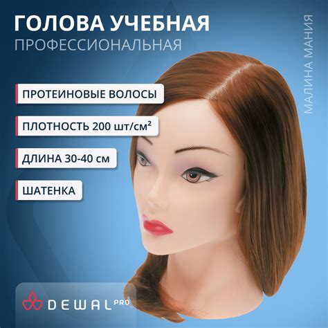 DEWAL Парикмахерская учебная голова-манекен для стрижек и причесок ...