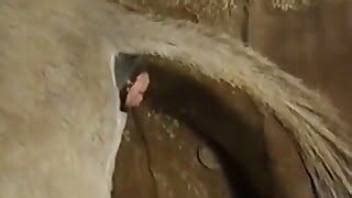 Farm Sex With Handjobs And Then Some