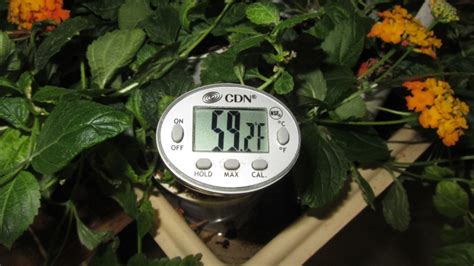 Maintaining The Ideal Grow Room Temperature Stoptazmo