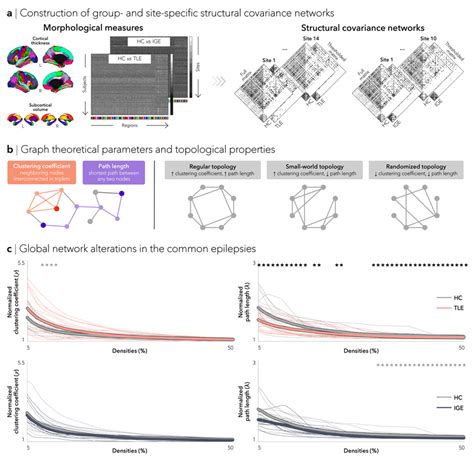 Structural Covariance Networks In The Common Epilepsies A Schematic