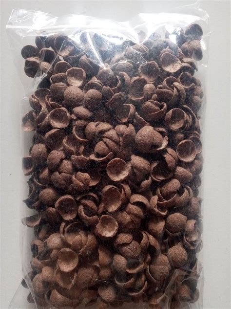 Snack Simba Chocho Cran 250 Gram Cemilan Makanan Ringan Biscuit Coklat Lazada Indonesia