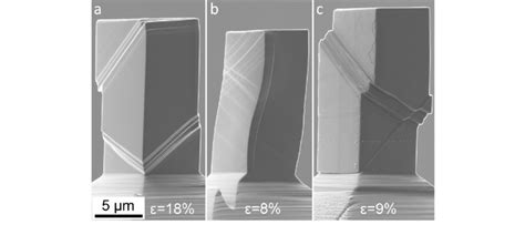 Sem Micrographs Of Micropillars After Compression A Compression Download Scientific Diagram