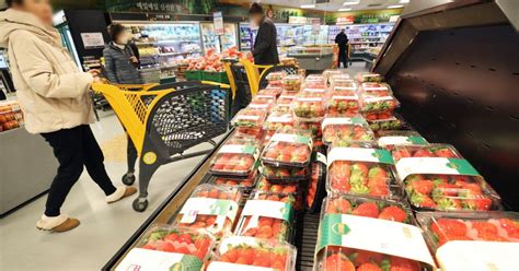 맛은 달콤 가격은 살벌 2명이 딸기뷔페 가면 30만원