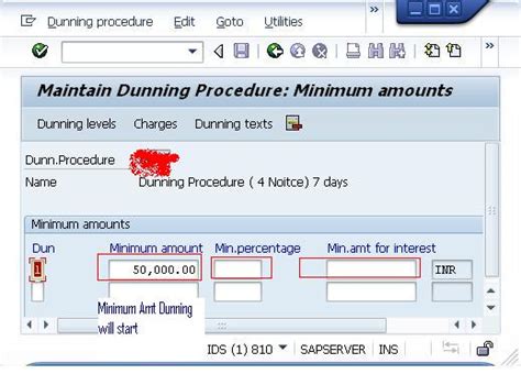 Dunning Issue Sap Community