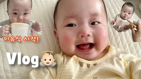 육아 브이로그👼🏻 6개월 아기🤍 드디어 이유식 시작🍚 고래야 놀자 사운드북 구매🐳 Youtube