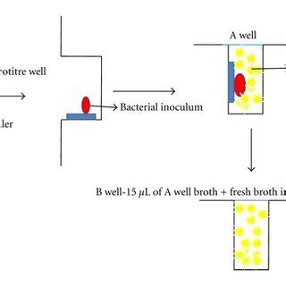 Schematic Representation Of DCT Download Scientific Diagram