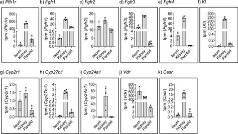 Transcriptome Quantification Of Genes Involved In Regulation Of Pi And Download Scientific
