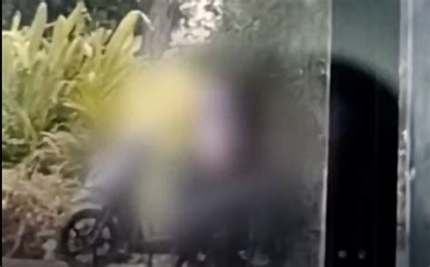 Viral Pelajar Mesum di Halaman Gedung Sasana Krida Probolinggo – Ipol.id