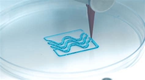 3D Cell Culture - Xeno-free Hydrogels & Bioinks | TheWell Bioscience