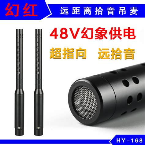 录播麦克风教室扩音吊麦话筒系统悬挂式录音直播远程培训专业 虎窝淘