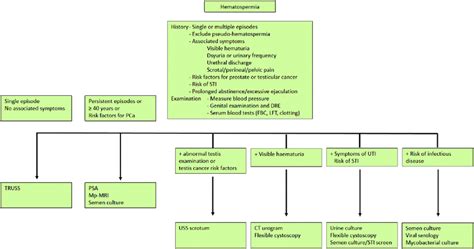 Algorithm For Investigation Of Patients With A Single Episode Or