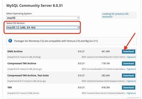 Mac os系统安装MySQL数据库 阿里云开发者社区