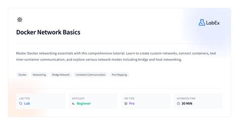 Docker Network Basics From Bridge Networks To Host Networking Labex