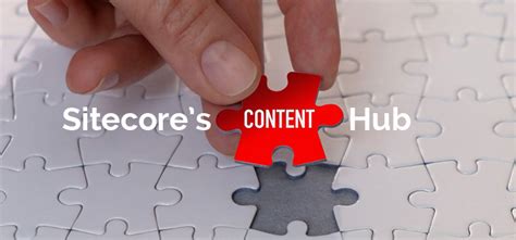 sitecore content hub streamline your digital assets management