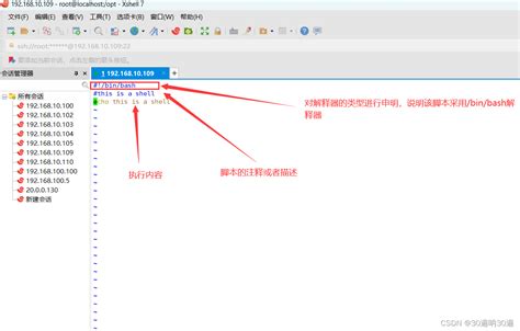 shell编程规范与变量 csdn博客