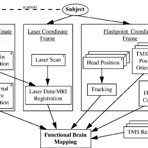 Architecture Of The Functional Brain Mapping System Download Scientific Diagram
