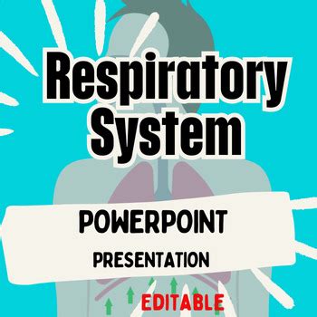 Respiratory System: PowerPoint: Editable by Presentation Market | TPT