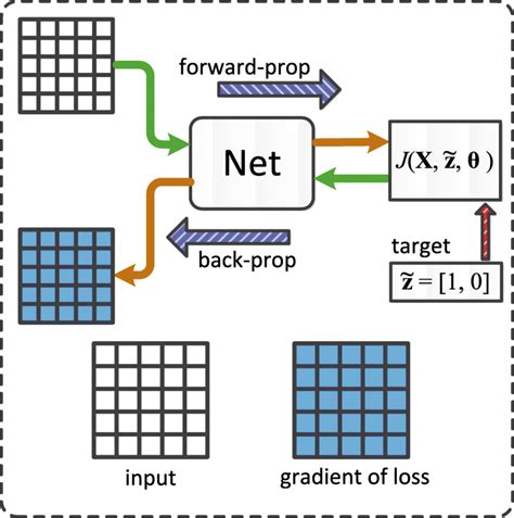 Generate The Adversarial Perturbation First We Conduct Download