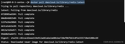 docker pull redis出现错误Timeout exceeded while awaiting headers解决_client.timeout exceeded while ...
