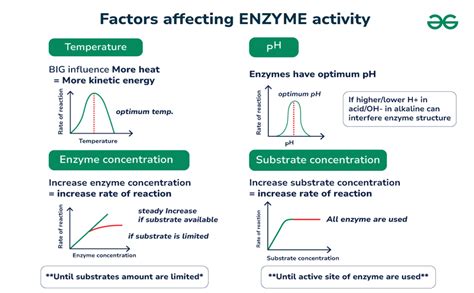 Underlying Principle Of Different Solutions Used For Isolation Of Plasmid From Bacteria By
