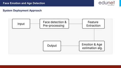 Sample Ppttnsdc About The Face Emotionpptx