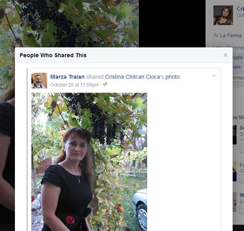 Ratacirile Pasarii Phoenix Lica Chitcan Escrocheria Continua