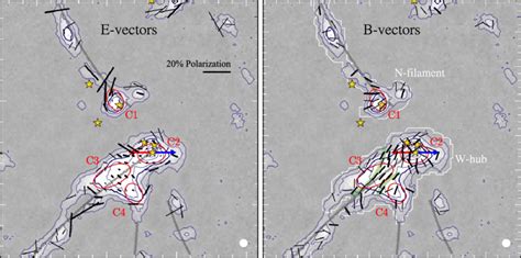 Polarization Vectors Left And Magnetic Field Vectors Right On 850 Download Scientific