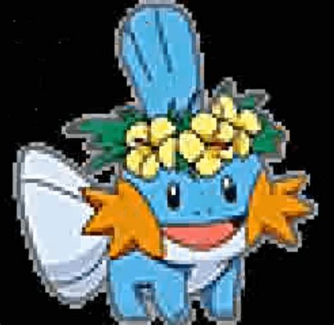 I Desperately Need A Higher Quality Version Of This R Mudkip