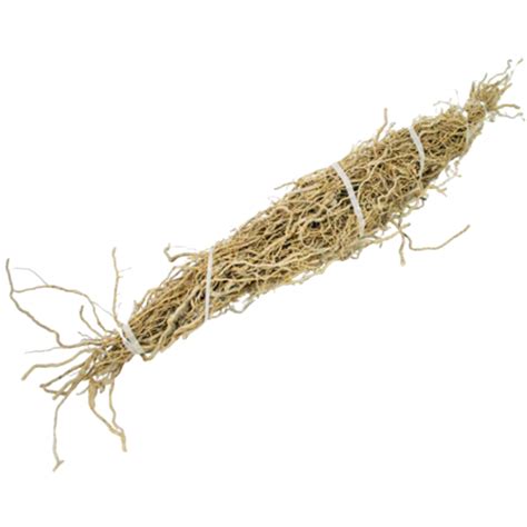 Patchouli Root Bundle Mxd Magic