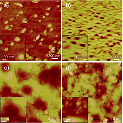 Figure 1 From An Overview Of Bio Inspired Intelligent Imprinted Polymers For Virus Determination