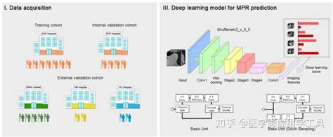 （3d深度学习）影像组学数据委托实验：深度学习预测非小细胞肺癌新辅助化疗免疫治疗的重要病理学反应，一项多中心研究 知乎