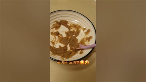 귀여운 도마뱀 Youtube