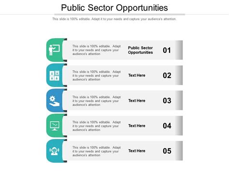 Public Sector Opportunities Ppt Powerpoint Presentation Styles Tips Cpb Pdf