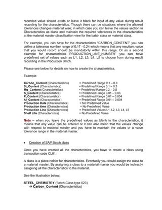 Sap Batch Management Overview DOCX