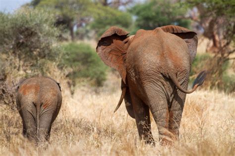 Using Implied Motion To Make Your Photos More Striking