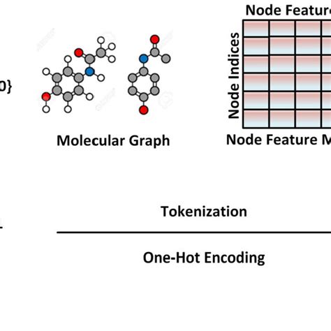 Illustration Of Different Formats Of Small Molecule Representations Download Scientific