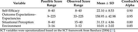 descriptive statistics for the social cognitive theory construct