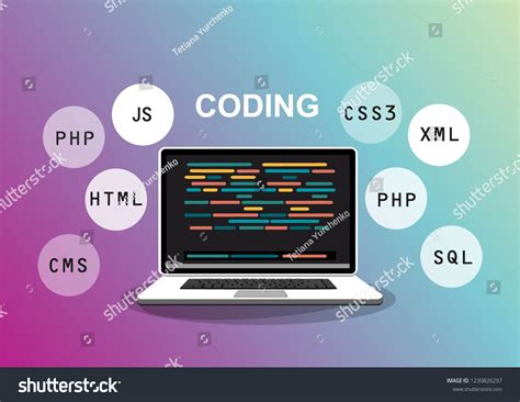 programming web development concept code on stock vector royalty free