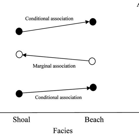 Illustration Of The Relationships Of The Response Variable Average