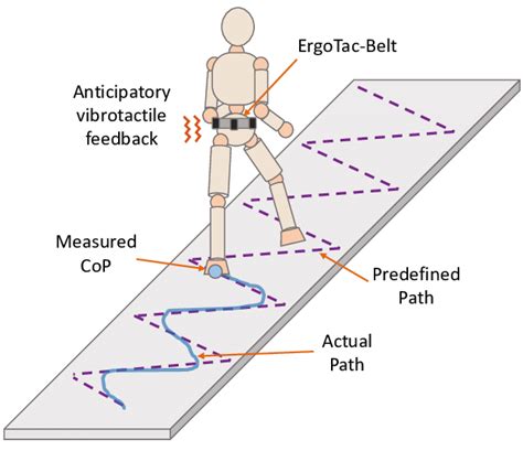 An Illustration Of A Human Being Driven By The Vibrotactile Device Download Scientific Diagram