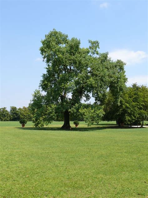 Épinglé par Lauren Rose McKee sur Out in Nature en