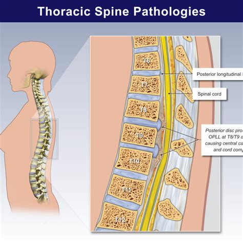 General Graphic And Medical Gallery Image Collection Trial Exhi