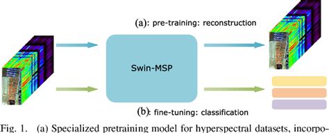 figure 1 from swin msp a shifted windows masked spectral pretraining