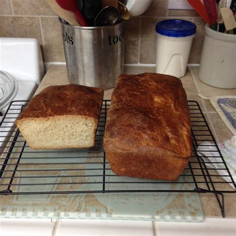 Sourdough Bread I Recipe Allrecipes