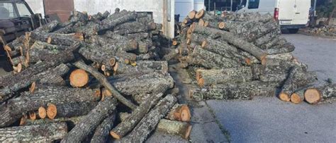 Важна набавка дрва за огрев према потребама Народних кухиња на КиМ Хуманитарна организација