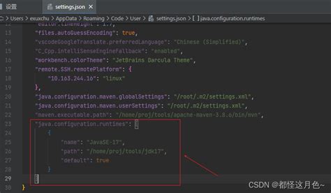 vscode 远程linux服务器调试java vscode 远程连接 执行java csdn博客