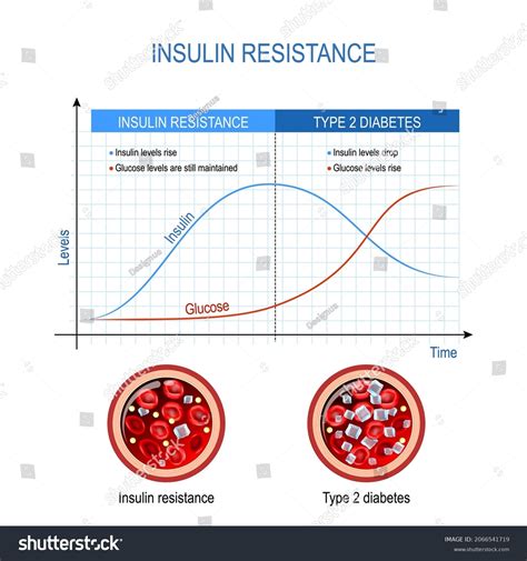 Insulin Types Chart Download Printable Pdf Templateroller