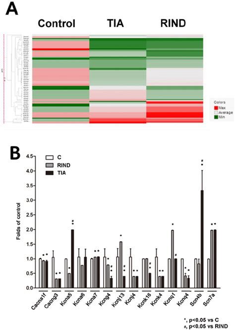 A Hierarchical Cluster Analysis Of Significant Expression Of Rat Download Scientific Diagram