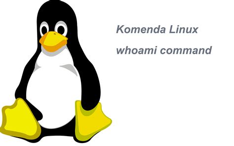 Komenda Linux Whoami Command Ittalkpl