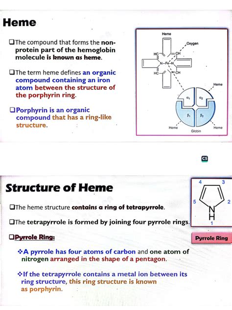Heme Synthesis Hemoglobin Types Structure And Functions Pdf